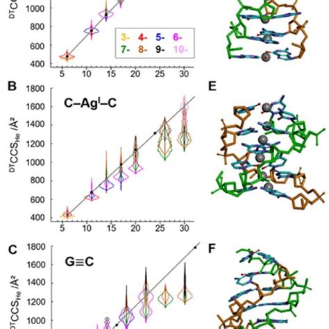 A C Collision Cross Section Distributions For A [dgn]2•agn