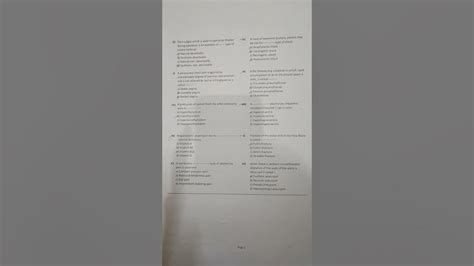 Bsc Nursing Adult Health Nusing 1 Youtube