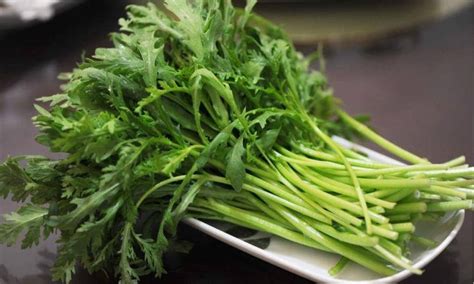 Cải Cúc Không Chỉ Nấu Lẩu Hiểu được Phương Pháp Này Mùa Xuân Hè ăn