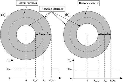 Schematic Illustrations Of The Shrinking Particle Reaction Model Of Sc Download Scientific