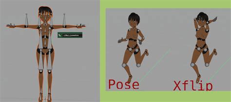 Paste X Flipped Pose Option Seems To Not Work Animation And Rigging