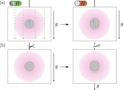 A Diagram Of The Proposed Experiments A Consists Of A Trapped Atom Download Scientific