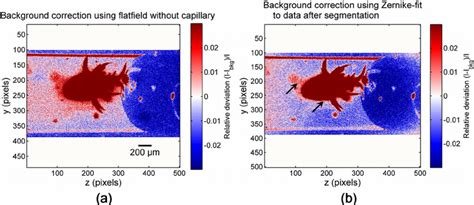 Color Online Comparison Of Background Correction Using Measured
