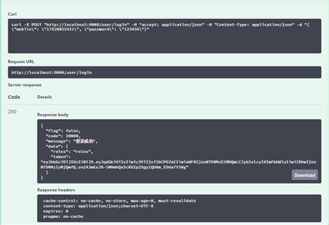 Jwt Token权限验证