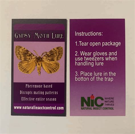 Gypsy Moth LDD Replacement Lure Klomps Home And Garden