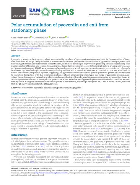 Pdf Polar Accumulation Of Pyoverdin And Exit From Stationary Phase