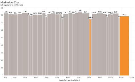 Marimekko Chart Policyviz