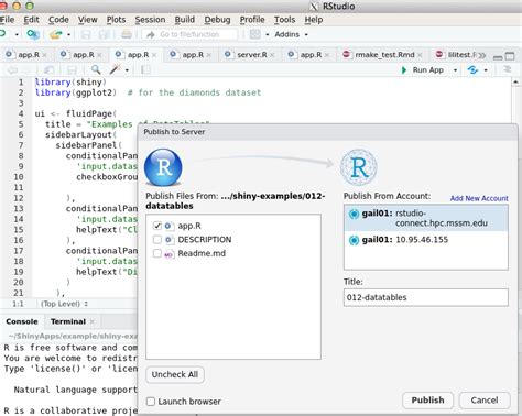 Rstudio Connect Server On Minerva Scientific Computing