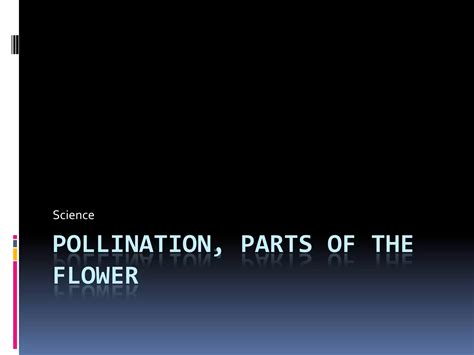 Pollination Ppt