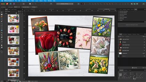 how to create contact sheets in affinity publisher using data merge