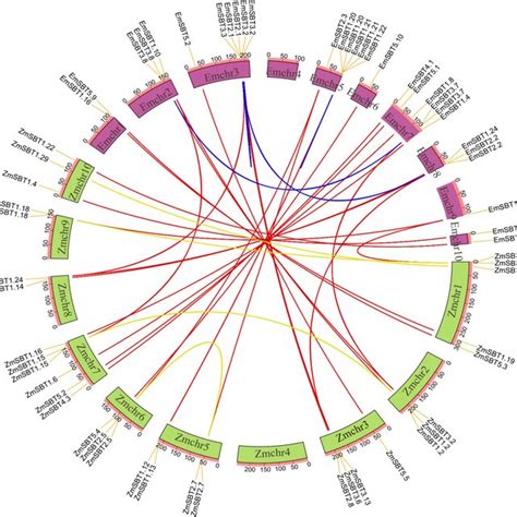 Analysis Of Sbt Duplication Gene In Maize Genome In Teosinte Genome