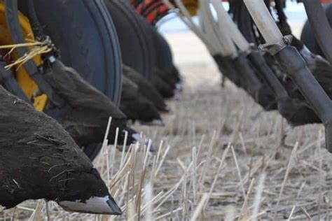 Effects Of Soil Characteristics Canola Encyclopedia