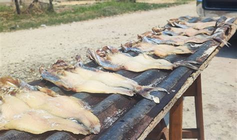 Vender Y Consumir Pescado Seco Una Tradición Que Marca La Semana Santa