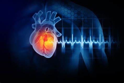 Predicting Cardiovascular Risks A Data Driven Approach To Heart Disease Prevention