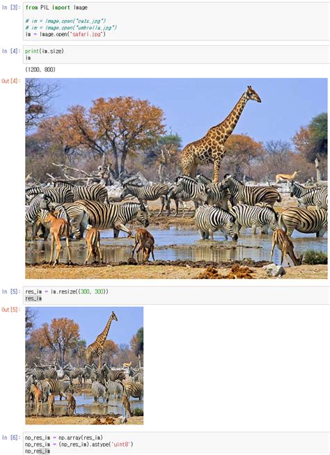 GitHub Joonb TFLiteDetection TensorFlow Lite Object Detection Python Implementation