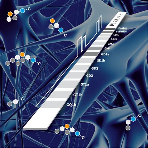Anti-Gangliosid Dot – Diagnostik BB | Virtual Medica 2020