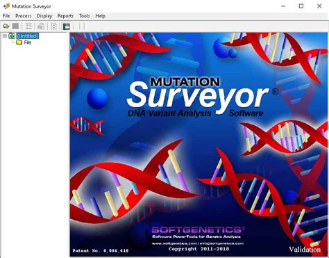 Softgenetics Mutation Surveyor 512 Downloadly