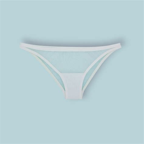 Sheer Panties Etsy