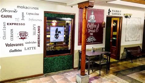 Rabbit Garden Coffee Shop Cuenca 2026 Reviews And Info