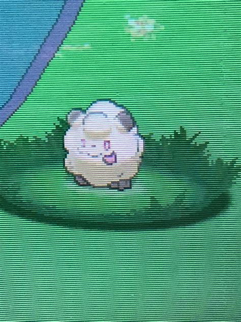 [6] Phase 2 Shiny Swirlix After 1570 60 Encounters After Phase 1 R