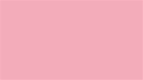 100 Solid Pink Backgrounds