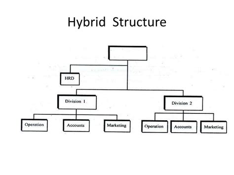ppt organisational structure and design powerpoint presentation free