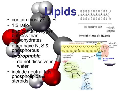 PPT Molecules Of Life PowerPoint Presentation ID 640901