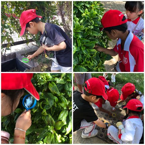 The Changing Landscape Of Learning Why PYP Is The Way Forward The International Babe Of