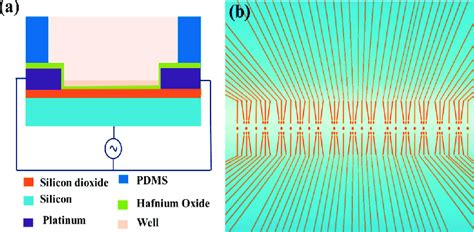 A Schematic Diagram With Electrical Connection Of The Device And Pdms Download Scientific