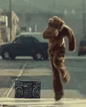 Dancing Bear  Dancing Bear Discover And Share S