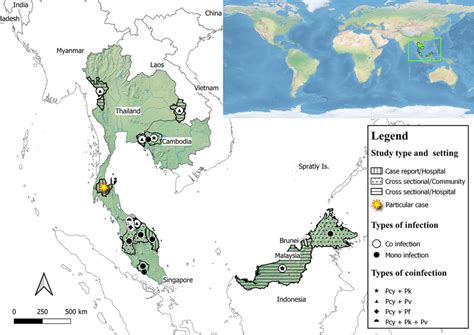 Geographical Distribution Of Natural P Cynomolgi Infections In Humans Download Scientific