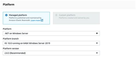 Deploy Net 6 Blazor Webassembly On Aws Elastic Beanstalk · Fabio