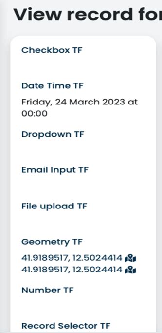 after a geometry record is saved it appears as two identical geo