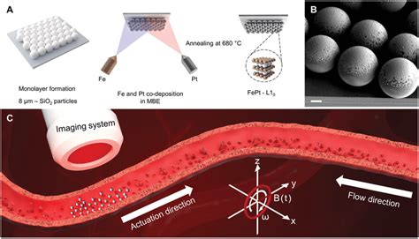 Fept L10 ‐coated Microrollers Towards Endovascular Navigation