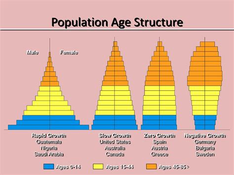 Age Structure Diagram