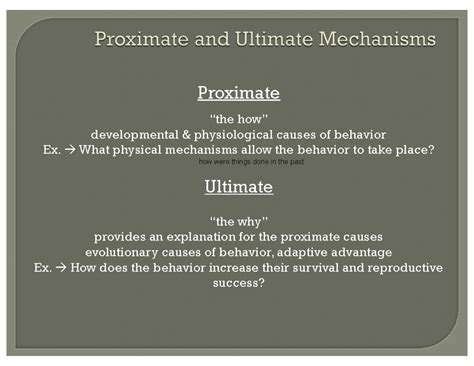 Lecture 3 Proximate And Ultimate Proximate The How” Developmental