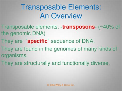 Ppt Chapter 17 Transposable Genetic Elements Powerpoint Presentation Id 1180237