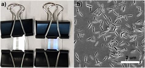 A Comparison Of Coated And Uncoated Samples B Sem Image Of Sample