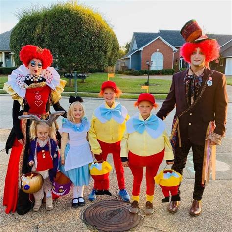 Diy Alice In Wonderland Kostyme