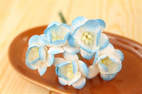 Bunga Sakura Putik Putih Sembur Biru Elektrik