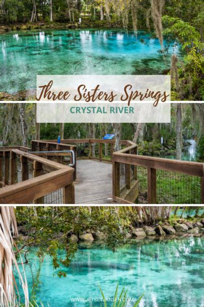 How To Visit Three Sisters Springs Crystal River Florida