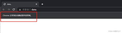 搭建selenium环境 CSDN博客