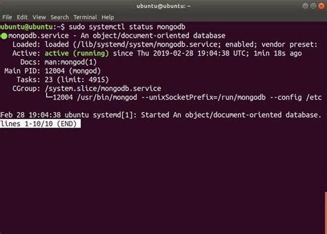 如何在 Ubuntu 上安裝 Mongodb Linuxstory