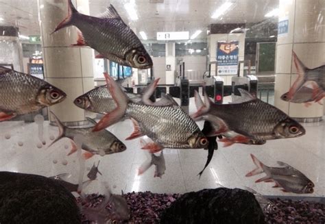 대구지하철역은 수조관 있는거 알아