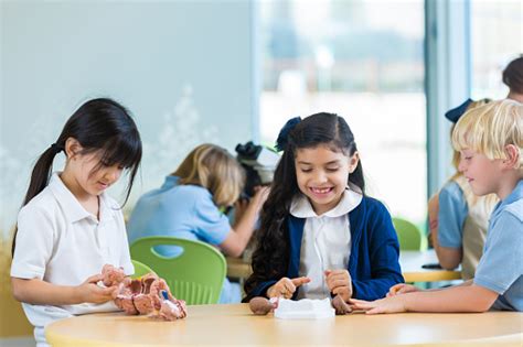 다양한 사병 초등학교 학생들이 공부 과학 모델에서 강의실형 2015년에 대한 스톡 사진 및 기타 이미지 2015년 강사 검사 보기 Istock