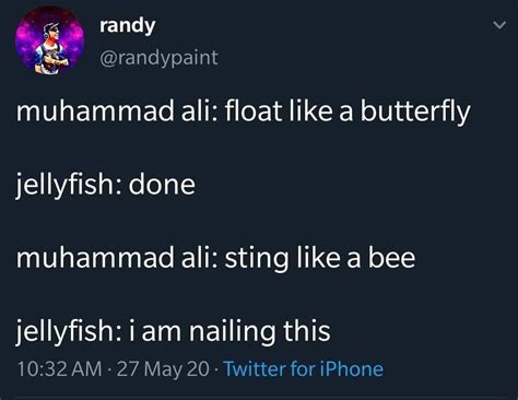 float like a butterfly sting like a bee sharefunnymemes