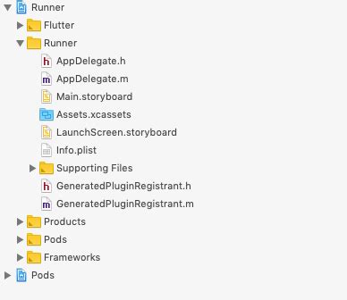 Flutter Build IOS Simulator Crashes Runner Quit Unexpectedly Issue Flutter Flutter