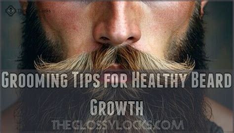 Beard Maintenance Trimming Guide Expert Tips For Perfect Grooming