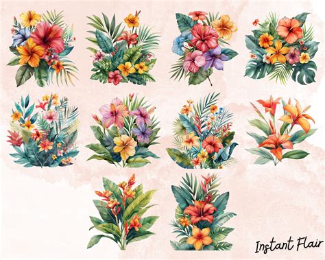 Watercolor Tropical Flower Clipart Bundle Png Designs Digital