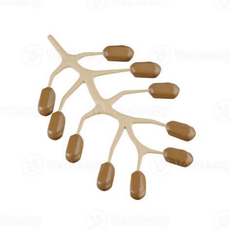 Kurma Ramadhan Kareem 3d Illustrations 27125066 Png